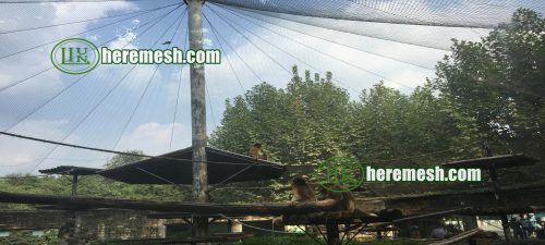 Safety Enclosure Mesh For Monkey , Monkey Enclosure Mesh