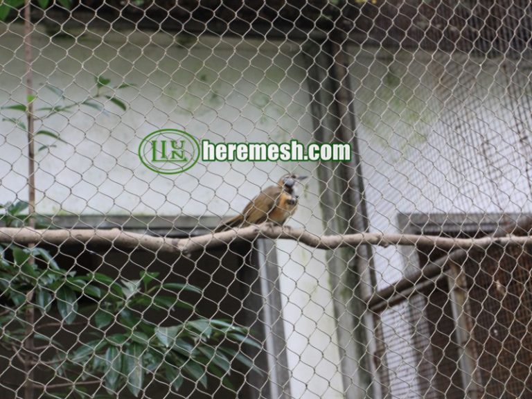Wire Mesh For Zoo Aviary Net , Cable Mesh For Zoo Aviary Net