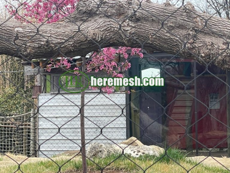Black Zoo Mesh , Black Zoo Enclosure Mesh , Zoo Fencing Mesh