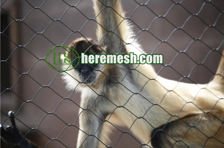 Monkey Exhibition Netting , Monkey enclosure mesh
