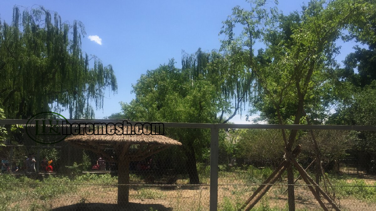 Stainless steel animal protection mesh—A necessary safety facility for zoo